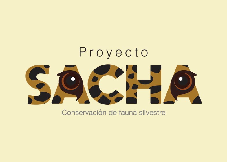 Branding archivos - Lenteverde